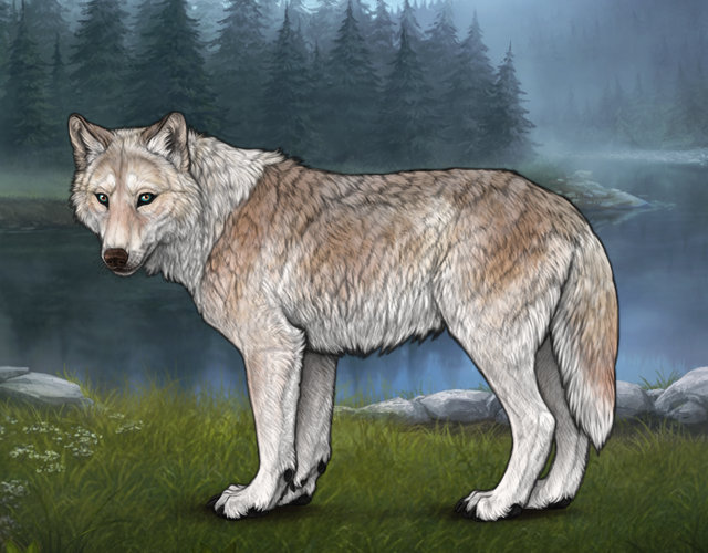 T2 Antler + Novus |:| Wolvden