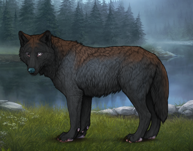 Hawk Swoop |:| Wolvden