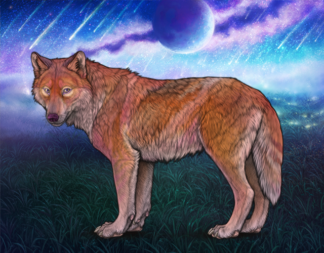 Wulfenite T3 | Chased NBW |:| Wolvden