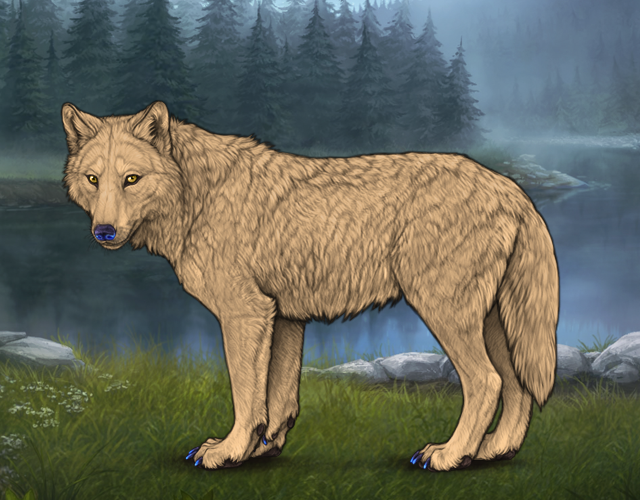 G3 680s M T2 4M Merle |:| Wolvden