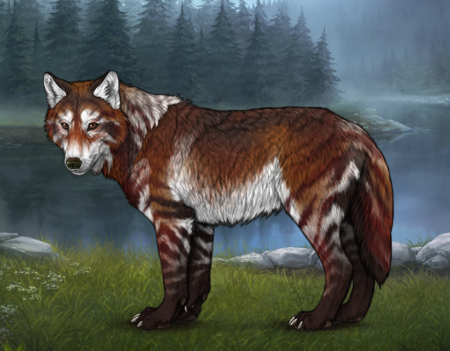 New Runt Puppy |:| Wolvden