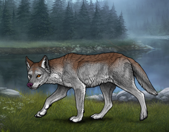 New Puppy |:| Wolvden