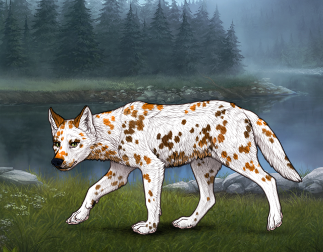 M - T1 - 4m |:| Wolvden