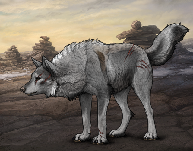 New befriended Wolf |:| Wolvden