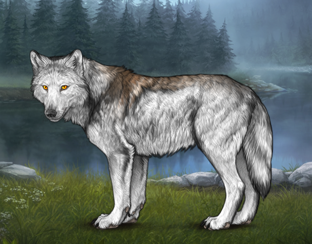 snow white |:| Wolvden