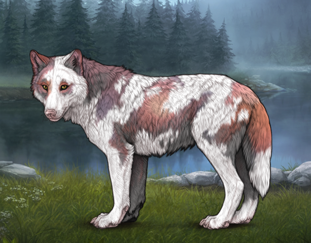 New Runt Puppy |:| Wolvden