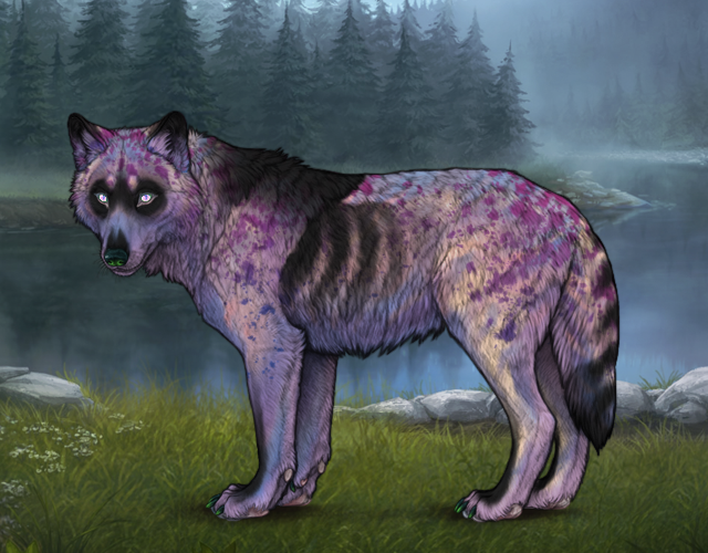 7M Essence - Dream AE |:| Wolvden