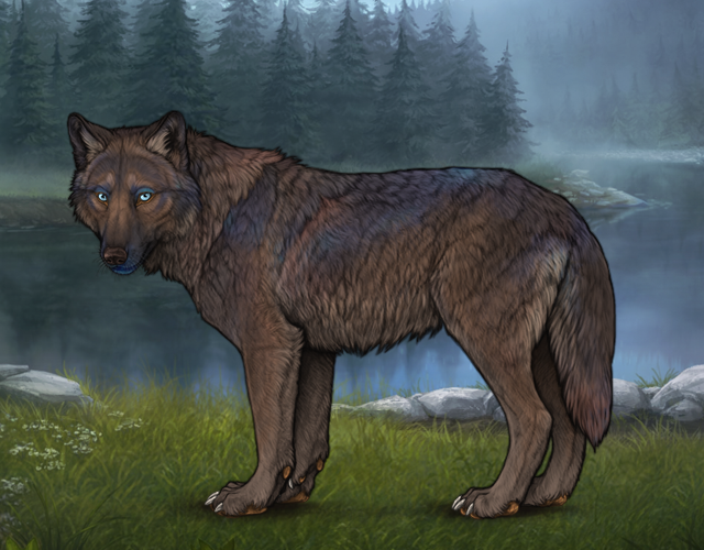 Anna - R - Scout |:| Wolvden