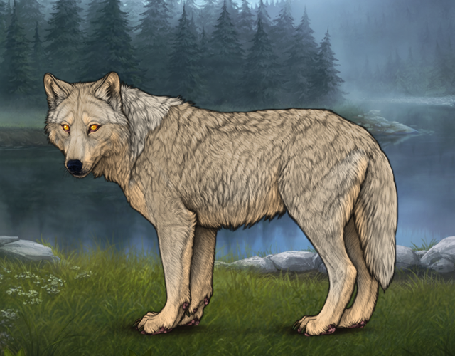 New Befriended Wolf |:| Wolvden