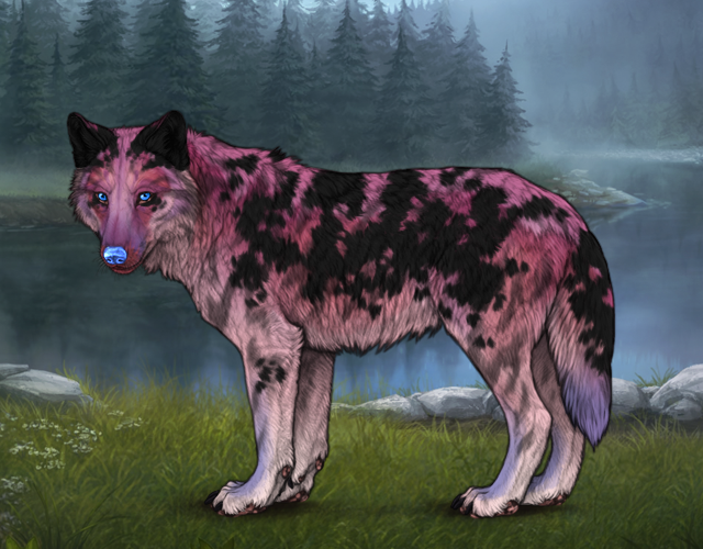 New Puppy |:| Wolvden