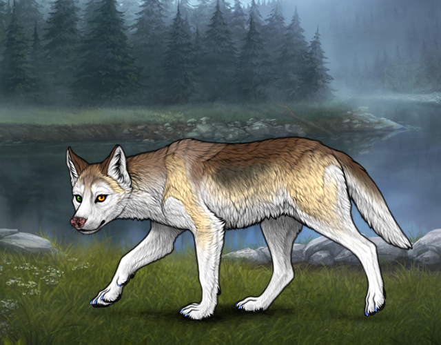 1★Ebony Base |:| Wolvden