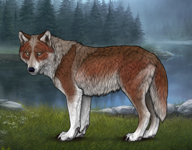 pretty t1 7m |:| Wolvden