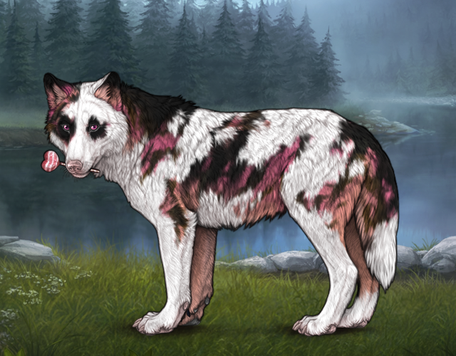 G5 NIB Torn T1 M 7m |:| Wolvden