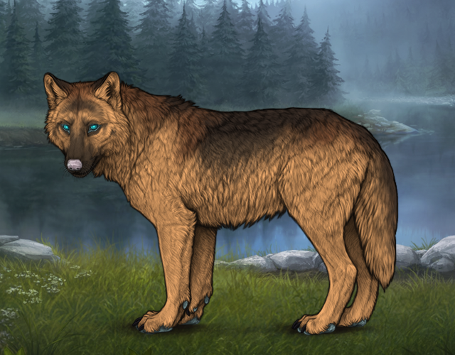 G2 Moj 2M SB |:| Wolvden