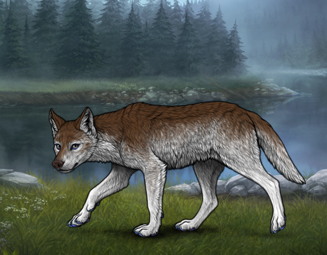 New Puppy |:| Wolvden