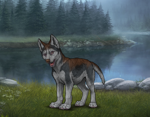 Chased Wolf Spotting - Revamped |:| Wolvden