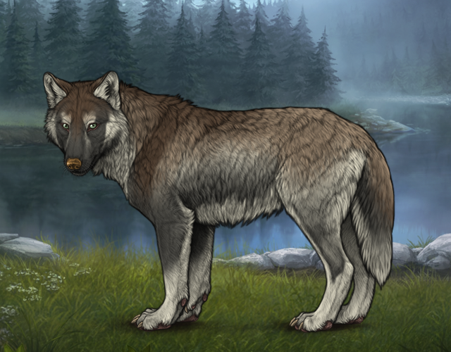 Pretty NBW |:| Wolvden