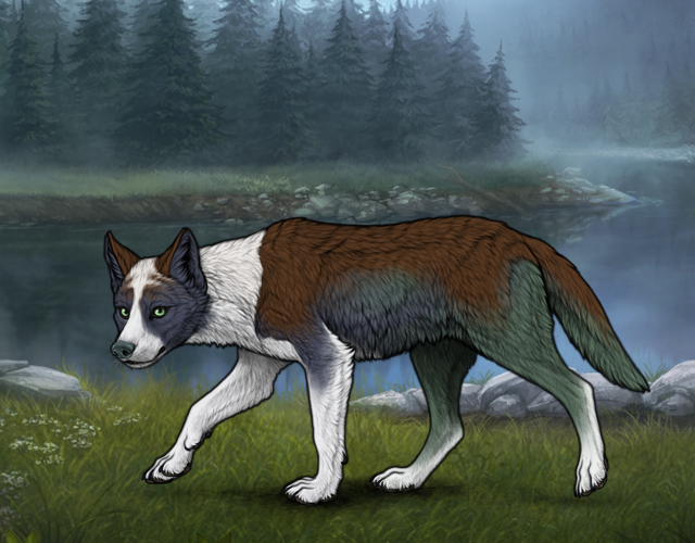 G2 Fox ♀️🐼 |:| Wolvden