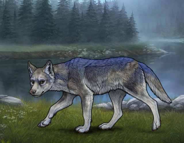 4 Markings, T2 |:| Wolvden