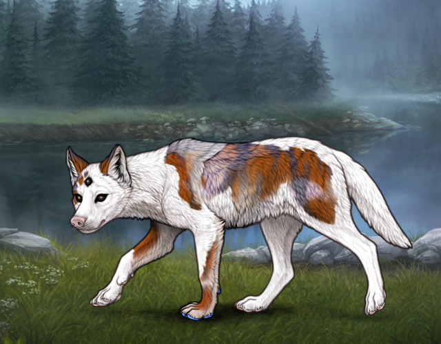 NIB G3 Dip |:| Wolvden