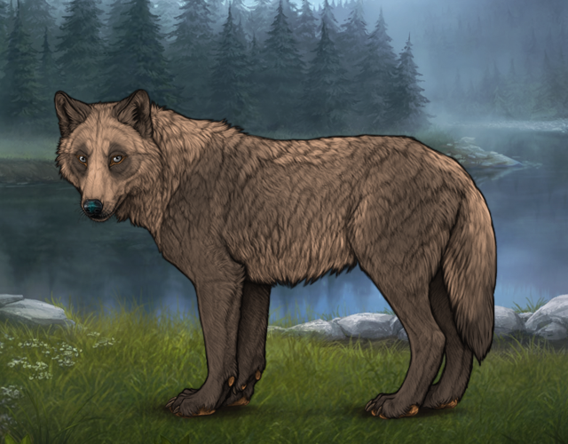 New Runt Puppy |:| Wolvden