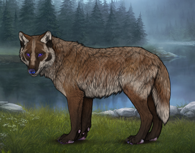 G2 f | T1 | 5m| |:| Wolvden