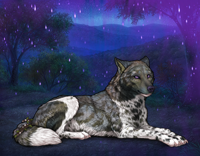 Zerdava Khaki Male |:| Wolvden