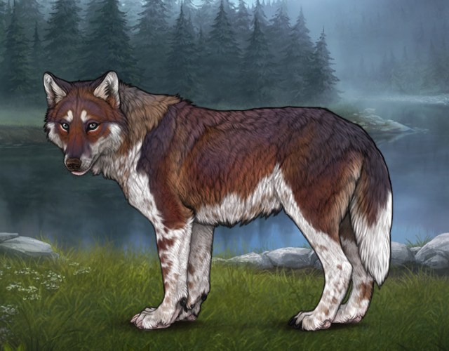 BrowniePoints |:| Wolvden