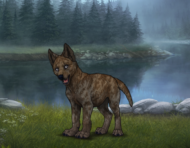 4 merle sell |:| Wolvden