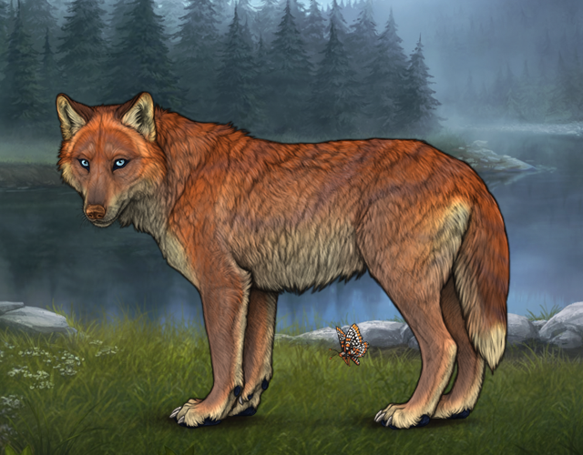 Fox Face (C) |:| Wolvden