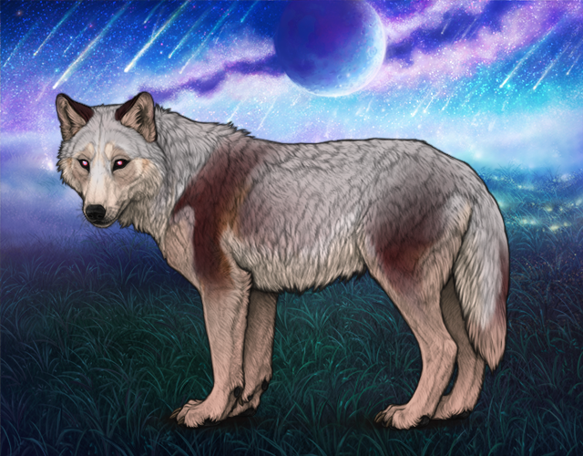ⱮąհąӀ |:| Wolvden