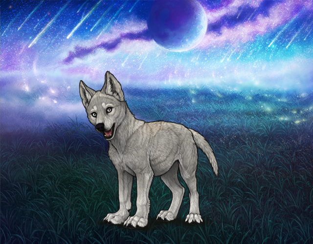 Silver Lake |:| Wolvden