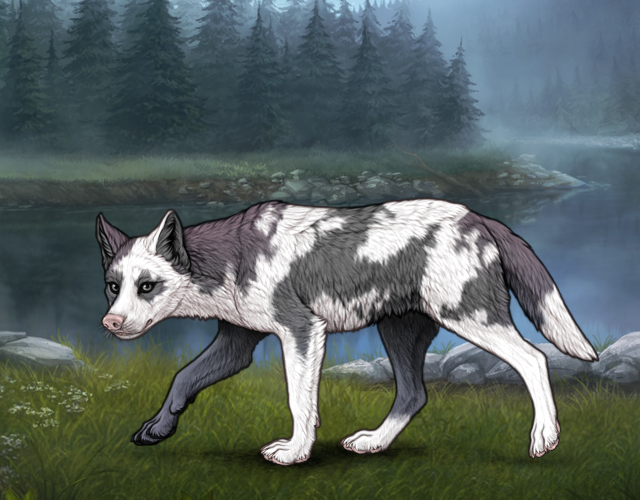 Gray | Male | 2M |:| Wolvden