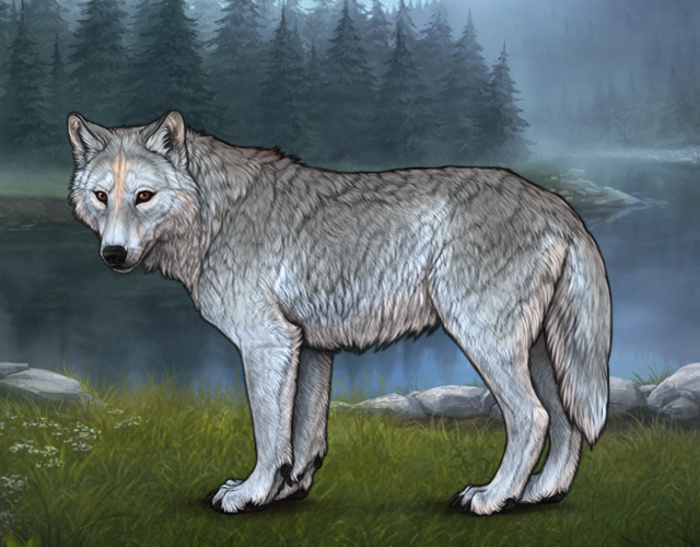 Silver'Sky |:| Wolvden