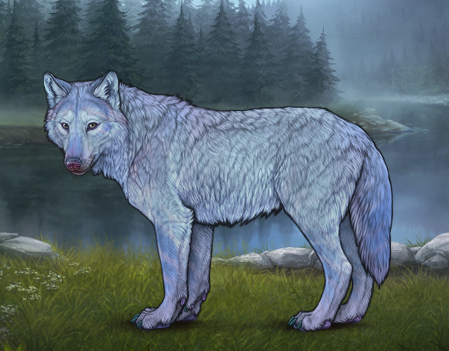 New Befriended Wolf |:| Wolvden