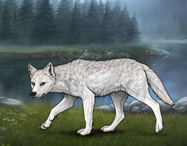 Neve |:| Wolvden