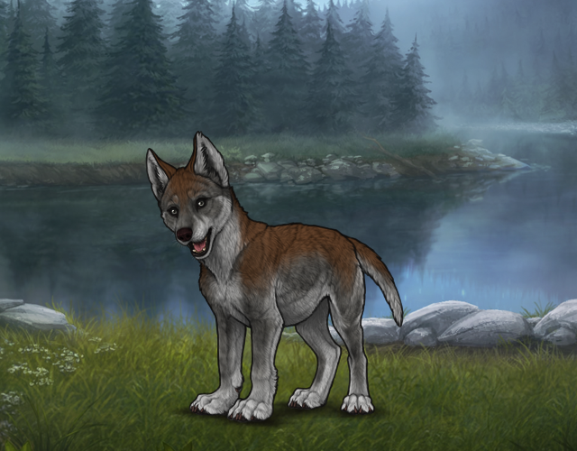 T1 Ashen | Cute marks! |:| Wolvden