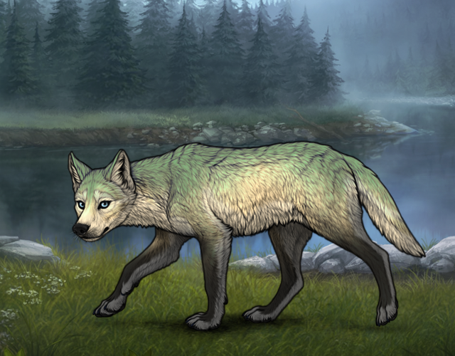 New Runt Puppy |:| Wolvden