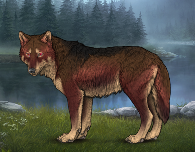 Chased Wolf Spotting - Revamped |:| Wolvden