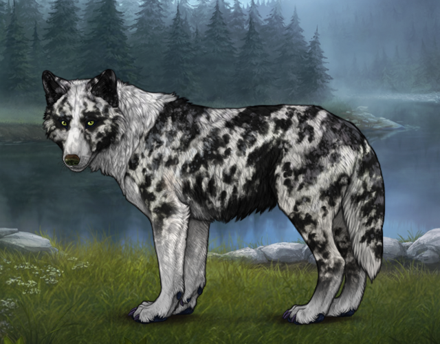 Merle Project |:| Wolvden