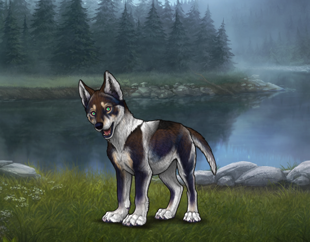 Chased Wolf Spotting - Revamped |:| Wolvden