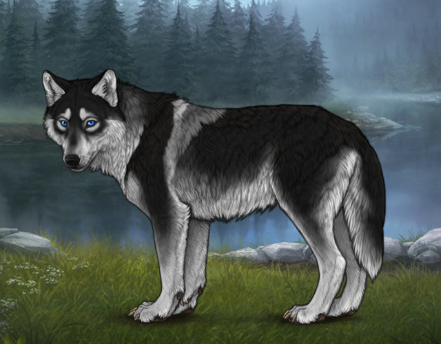 Blueberry |:| Wolvden