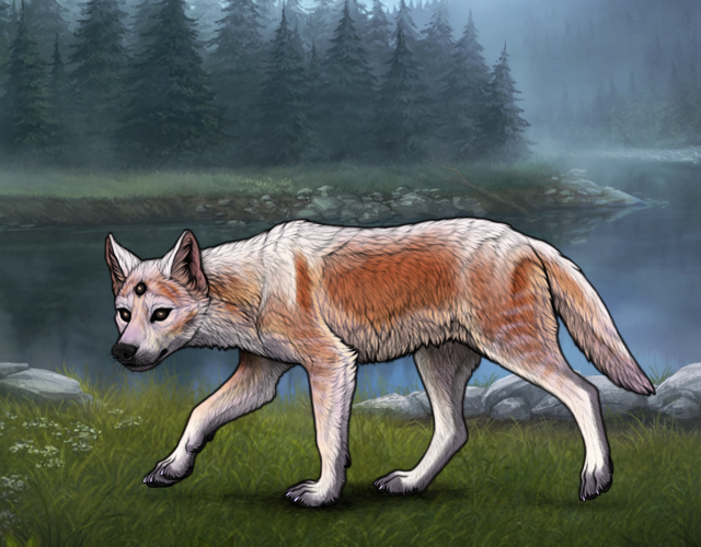 New Runt Puppy |:| Wolvden