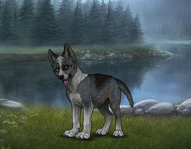 Maybe keep grey merle |:| Wolvden