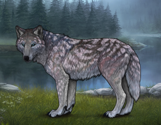 Chased Wolf Spotting - Revamped |:| Wolvden