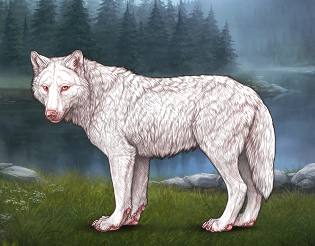 g3 ALBINO m 7m |:| Wolvden