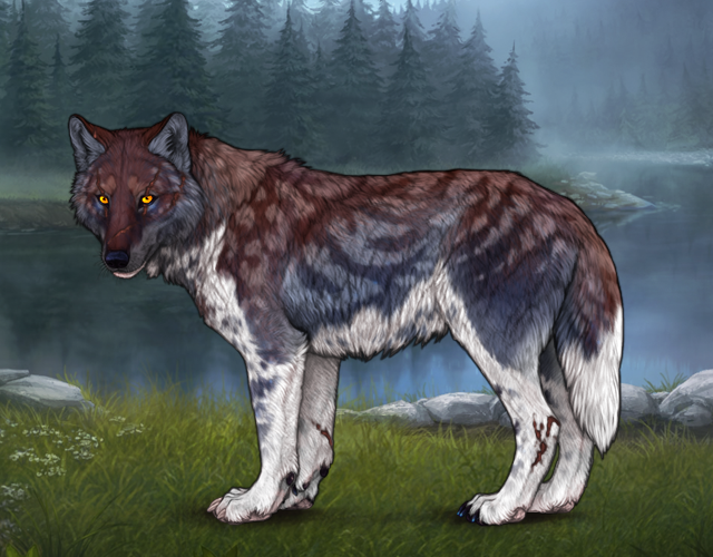 G3 Zerdava |:| Wolvden