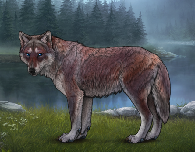 𝓐𝓾𝓻𝓪 |:| Wolvden