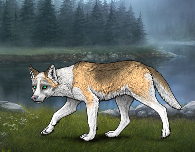 Starstruck |:| Wolvden