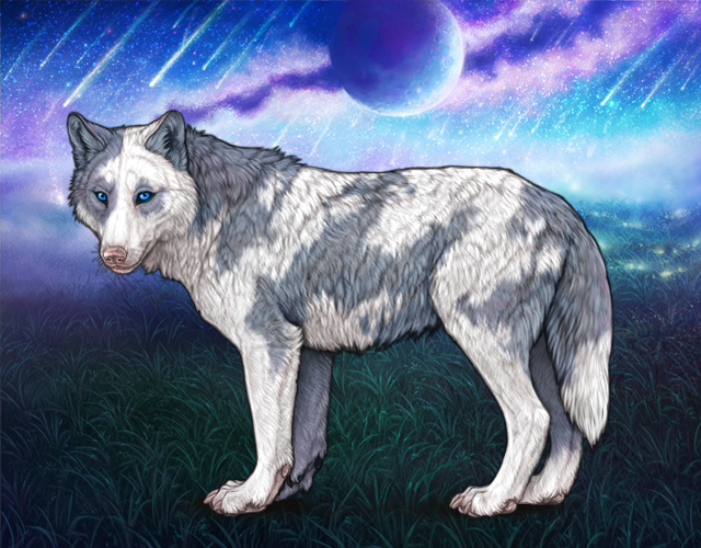 Piebald: Torn RAFFLE |:| Wolvden